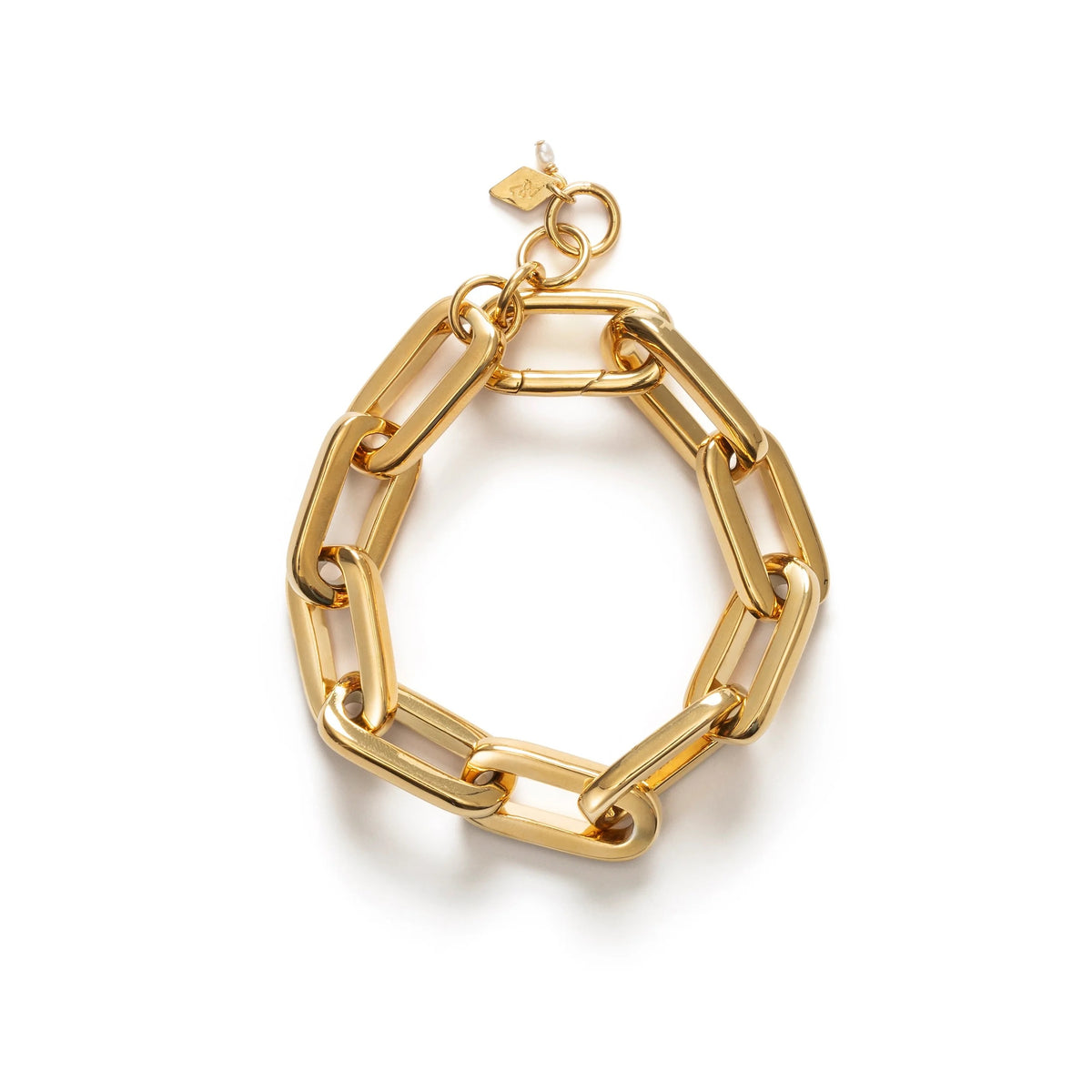 ANNI LU GOLDEN LINK BRACELET – Common Circus