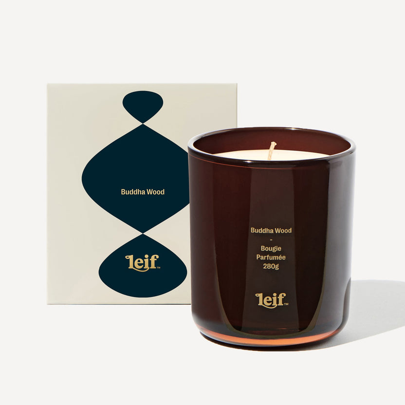 LEIF – Common Circus