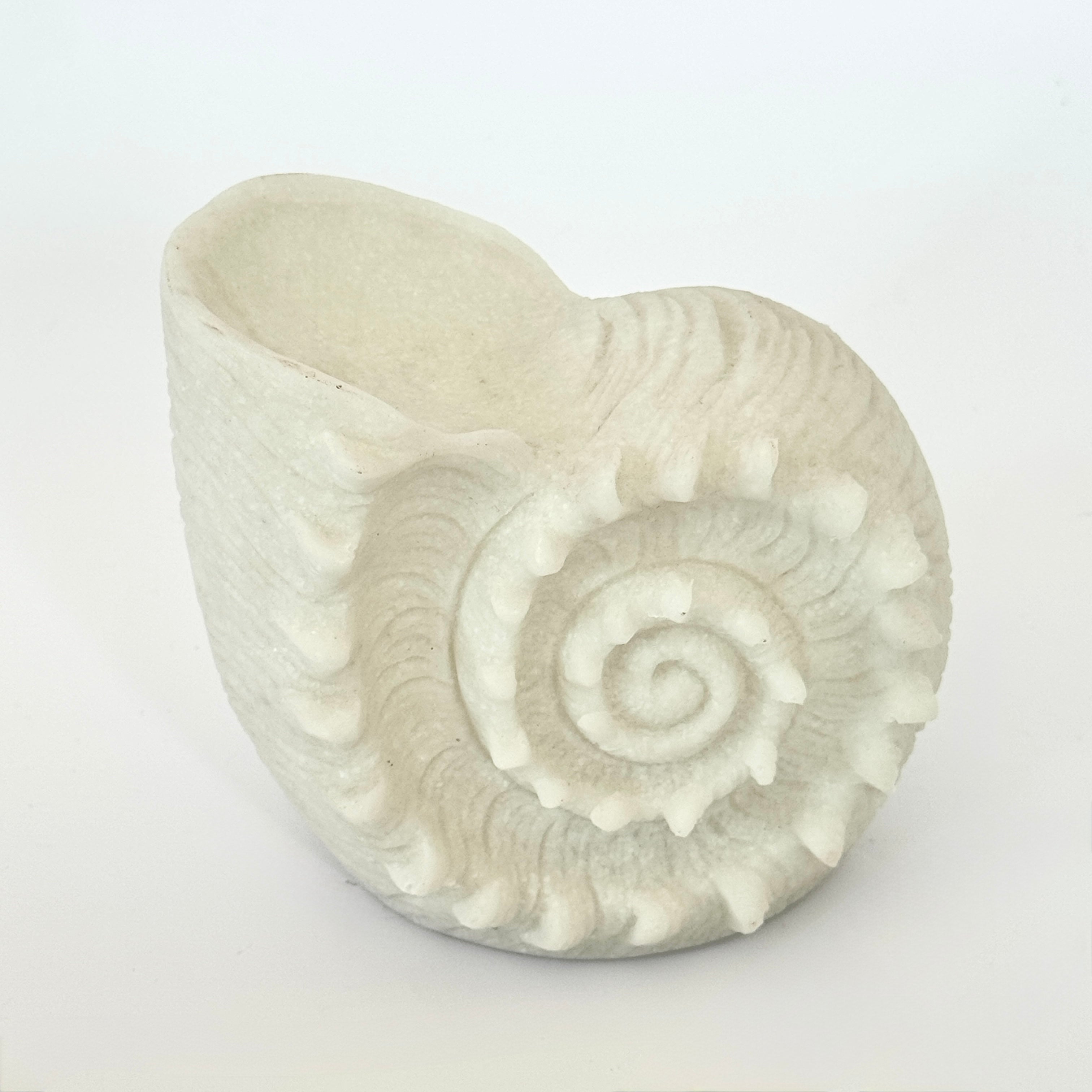 SHELLS MINI OUTDOOR LIGHT: NAUTILUS – Common Circus