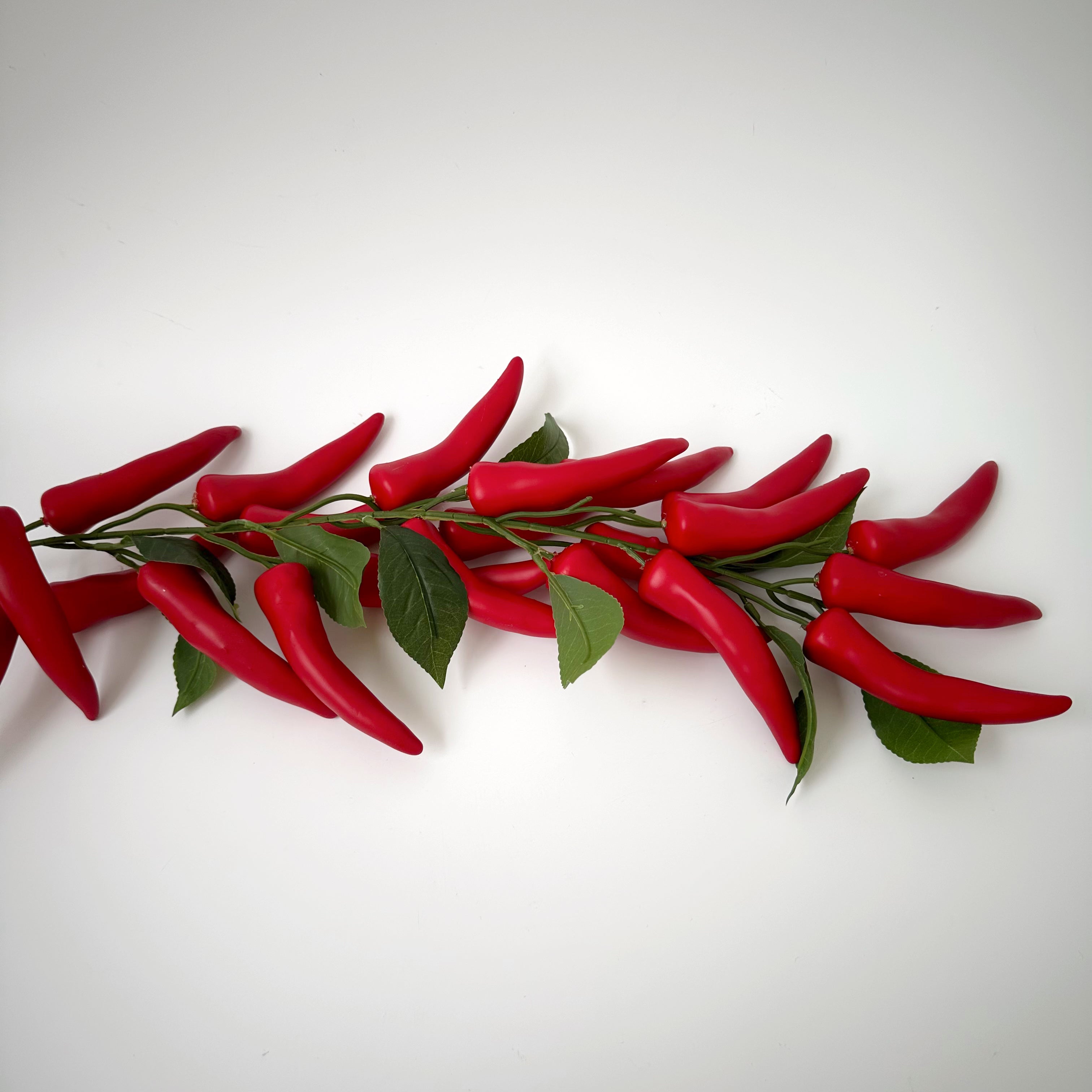 CHILLI GARLAND – Common Circus