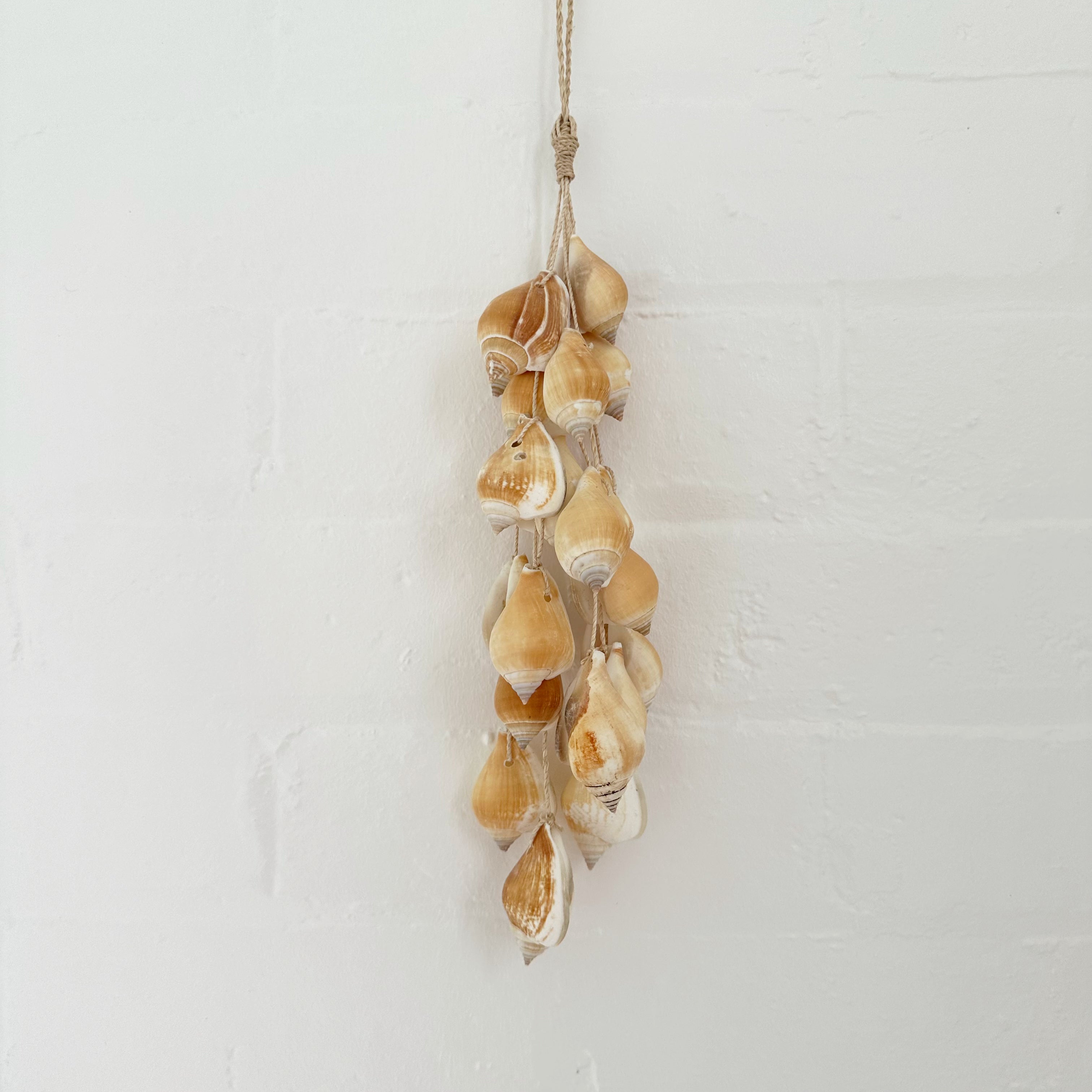 CANARIUM HANGING CLUSTER: 45CM – Common Circus