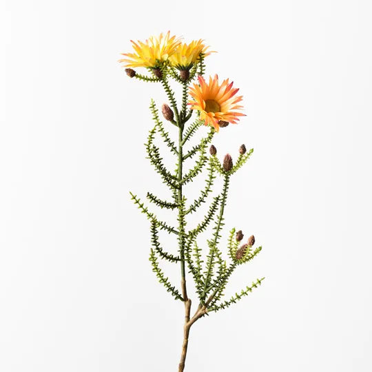 KAAPS FLOWER SPRAY: GOLD YELLOW 61CM – Common Circus