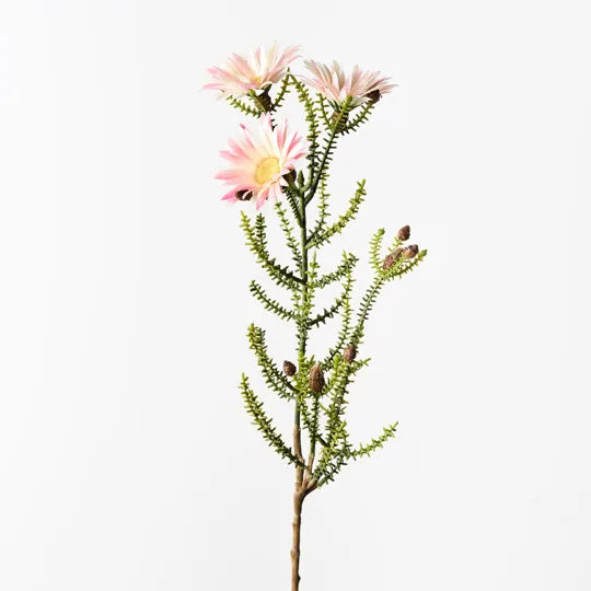 KAAPS FLOWER SPRAY: LIGHT PINK 61CM – Common Circus